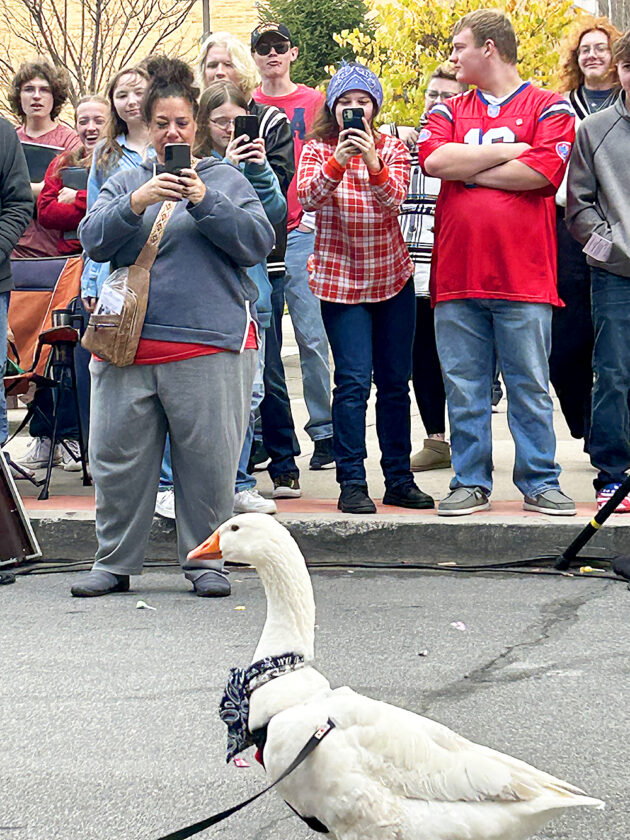 A salute to veterans: Spectators line streets to offer gratitude for ...